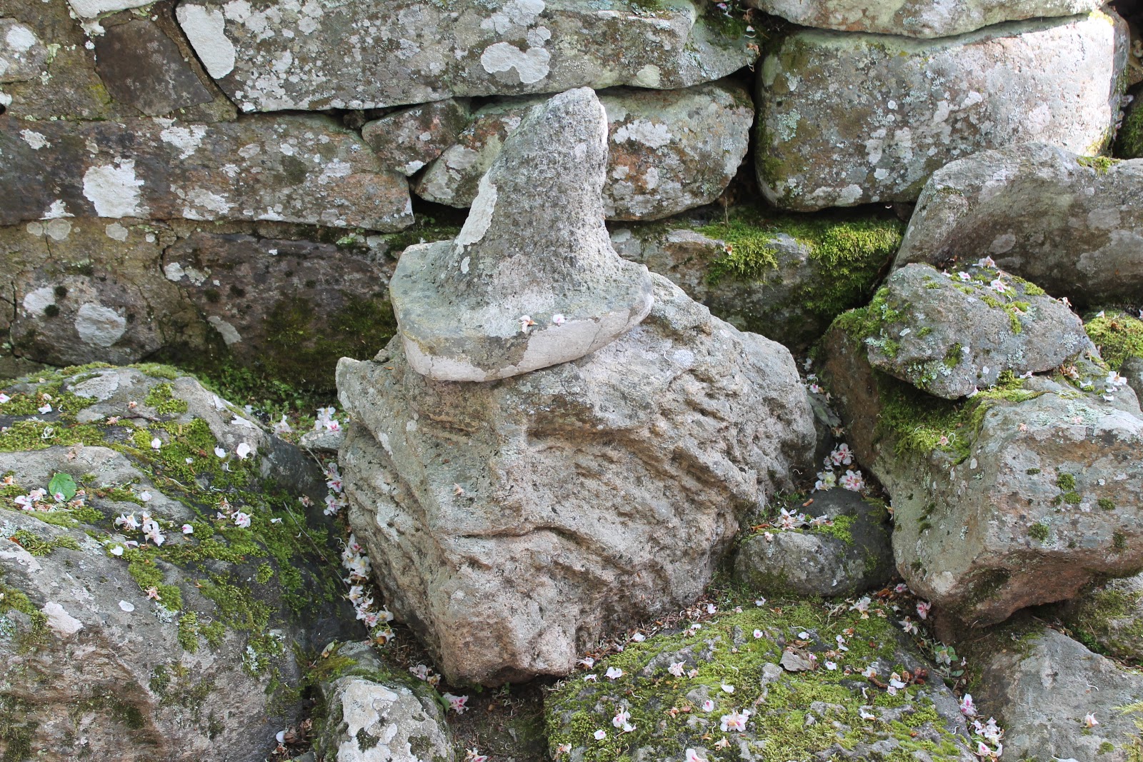 elämää luonnossa: Mikä kivi esti matkamme Liideniin?