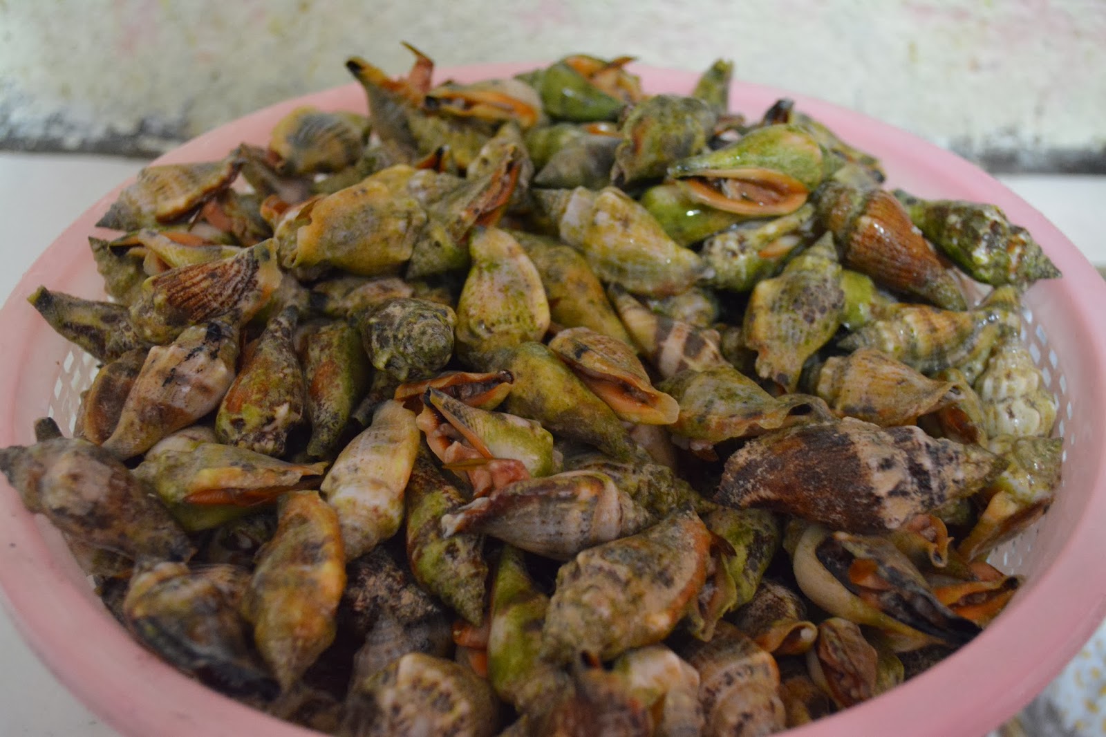 I Am Fatin :. *~: [Recipe - Sabahan] Tumis Pedas Siput Kahanga (makanan ...