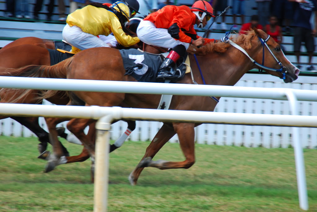 Top 31 Amazing And Dashing Horse Racing Wallpapers In HD