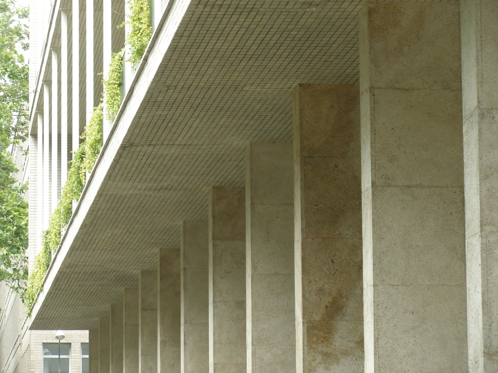 guttae: Giuseppe Pagano (1896-1945): Università Bocconi, Milan 1937-41