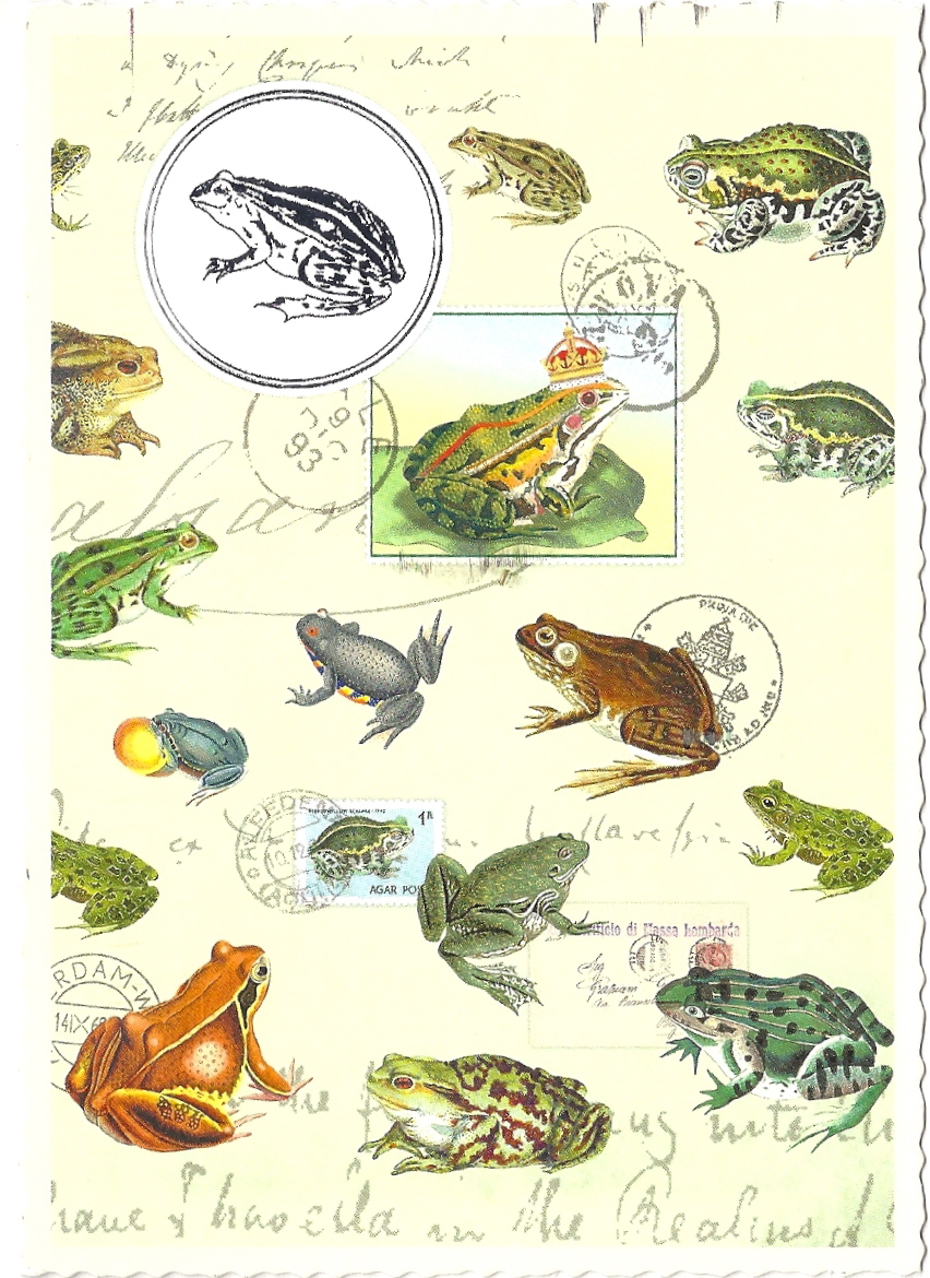 My Favorite Animal Postcards: Frogs on Stamps with Postmarks from Finland