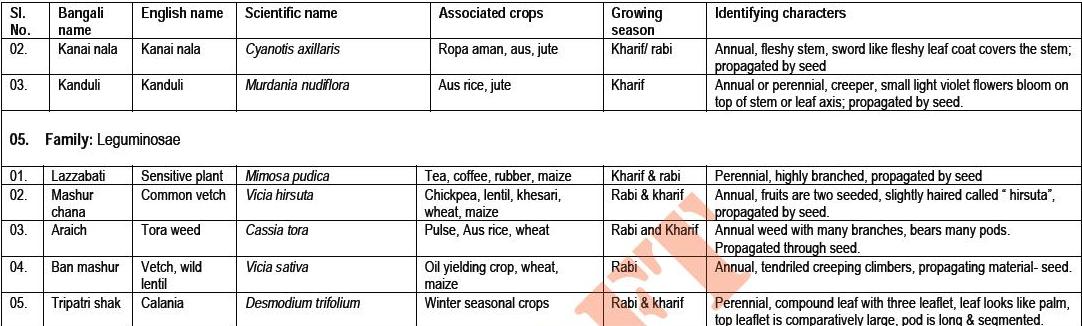 Scientific Names of weeds: Identification Of Weeds
