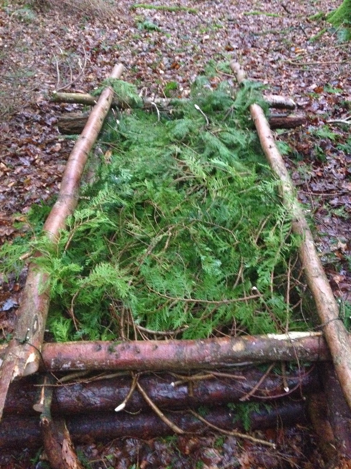 BUZZARD BUSHCRAFT: Bough Bed