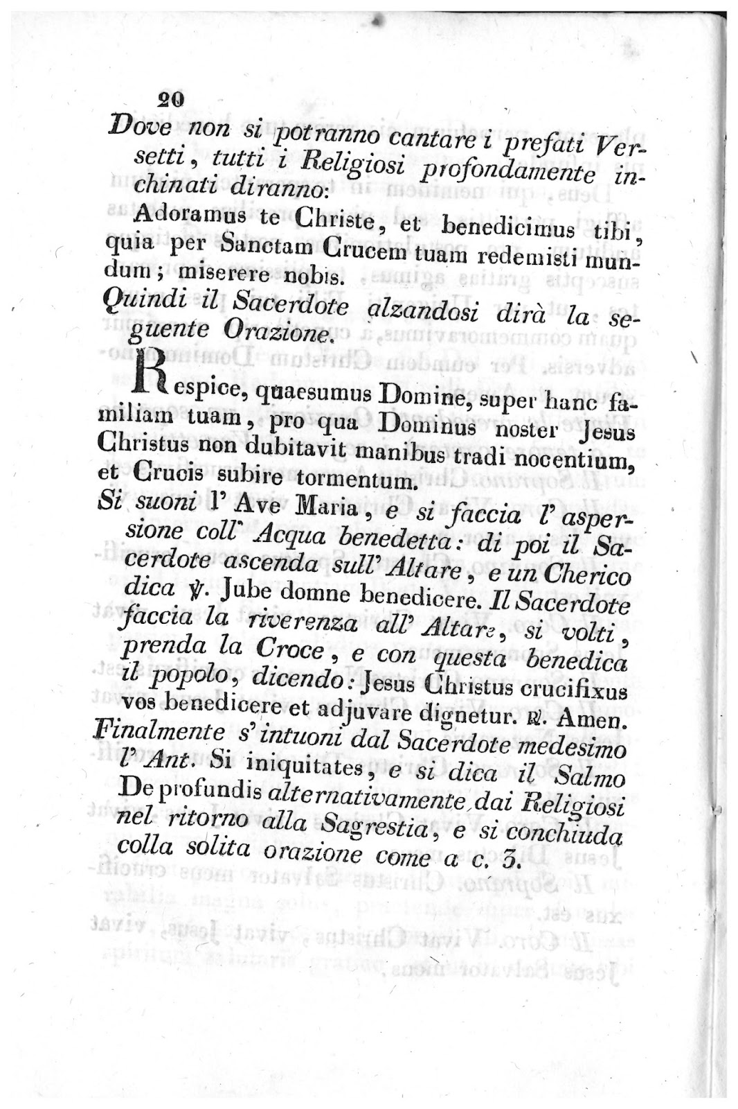 Cordigeri di san Francesco d'Assisi: I "Corda pia" nella Basilica di S ...