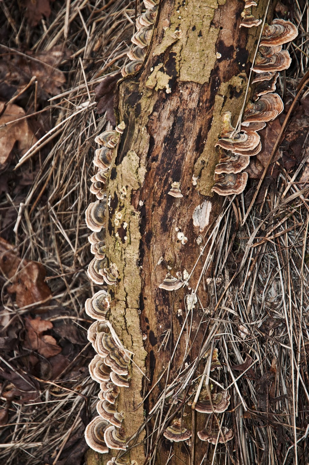 Wigtwizzle - Norman Smith's Travel Blog.: Second World War Secrets in ...