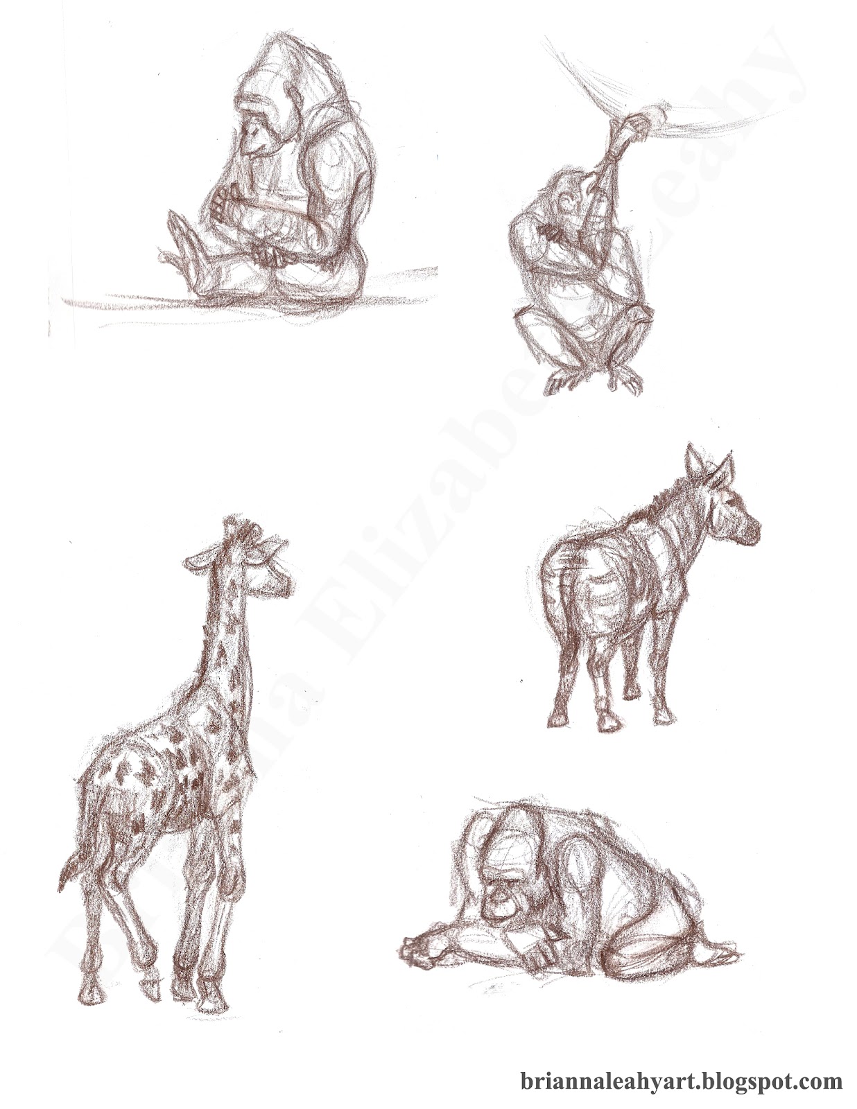 Art Adventures Blog: Live Animal Drawing: Los Angeles Zoo