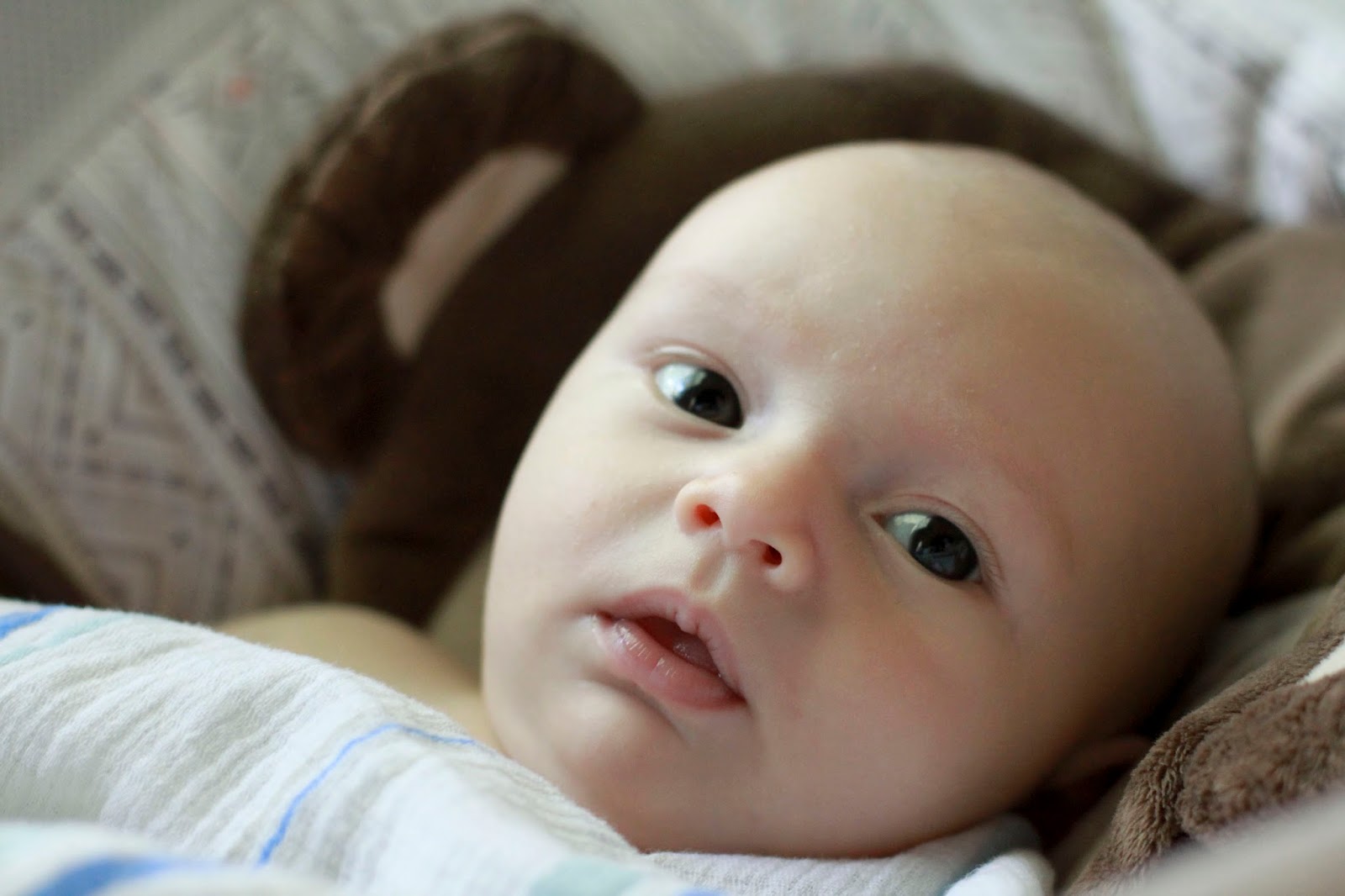 Life in Pike Road: Our Baby Jack