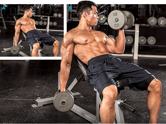 Personal Trainer IFBB: EXTRA STRENGTH AND SIZE FOR YOUR BICEPS