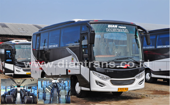 Profil Bus Pariwisata Dians Trans Tangerang - Jalur Bus