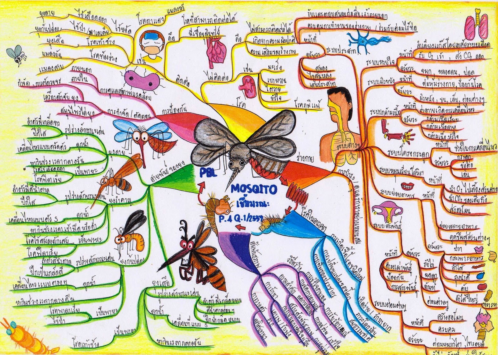 PQ1 บูรณาการ | ชั้น ป.4 Topic:Mosquito เชื้อมรณะ: Mind Mapping (เนื้อหา ...