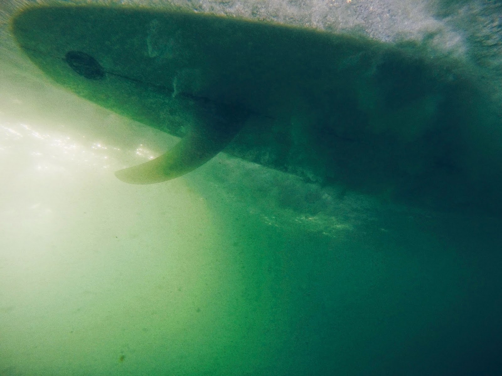 Tenpiggiesover: Kip Armstrong // Newport Beach Evening Session