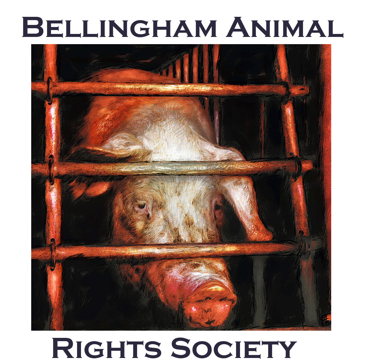 Bellingham Animal Rights Society