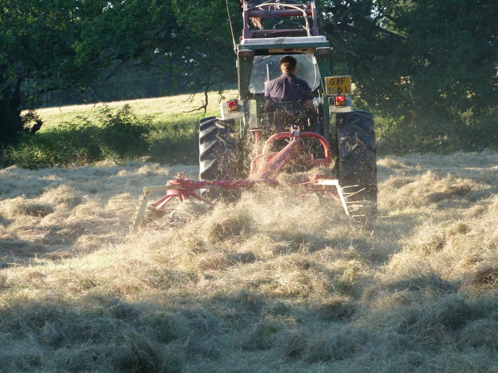 An English Homestead: Hay making