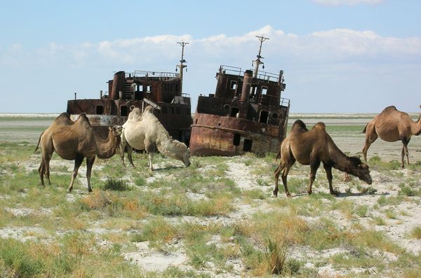 Downstream from Eden: The Aral Sea Disaster