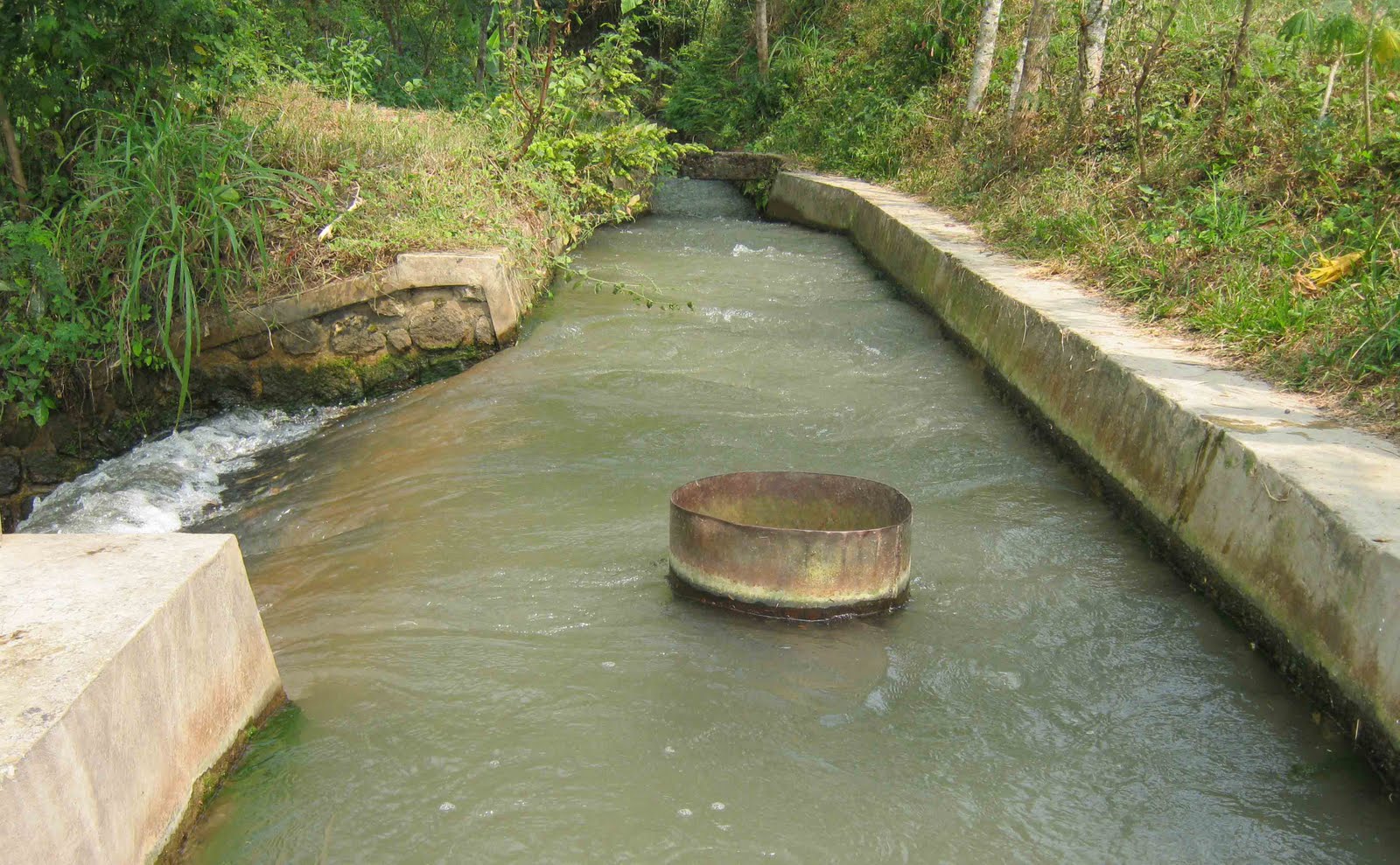 National Plus @ Mutiara Bunda School: Micro Hydro Fieldtrip – PPLH ...