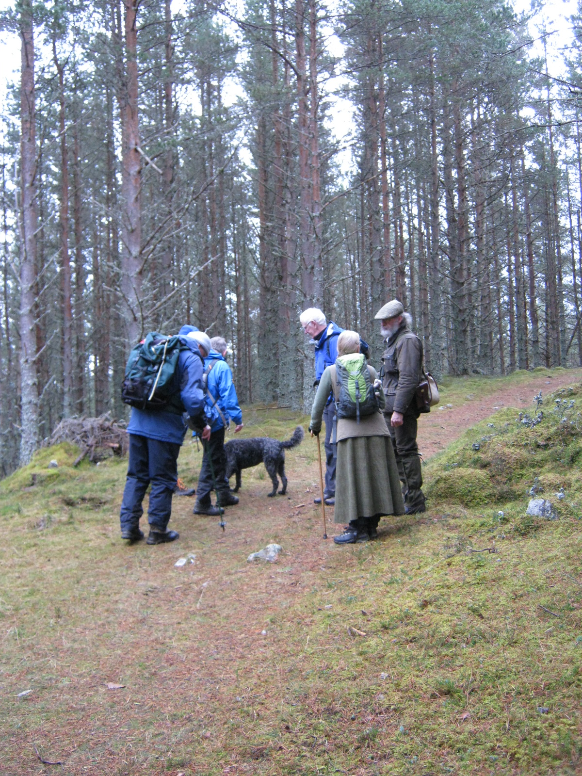 BRAEMAR WALKERS: Balmoral Cairns Craig Gowan