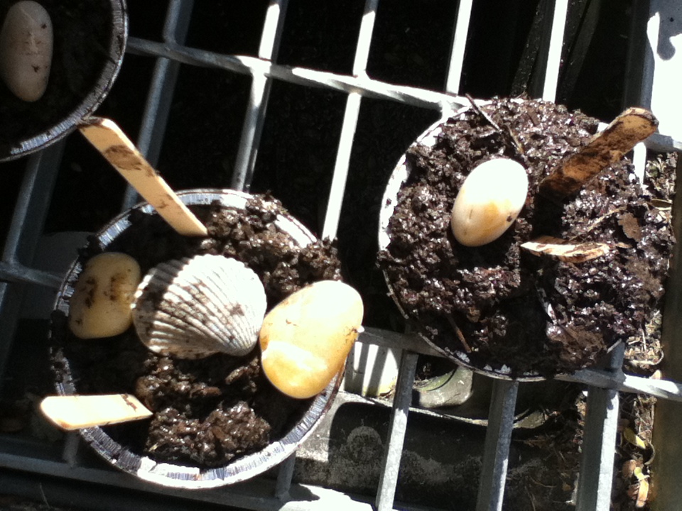 Prepare to Play!: A Mud Party!