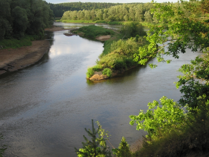 Aizsargājamie augi Latvijā: Īpaši aizsargājamās dabas teritorijas