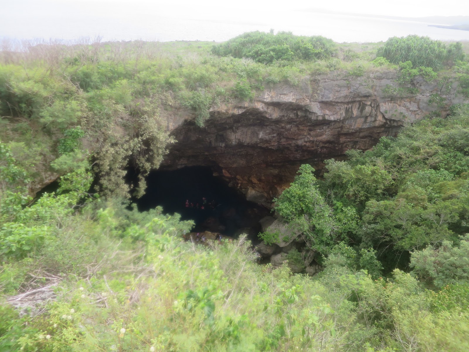 .: Saipan Day 4 Diving at Grotto