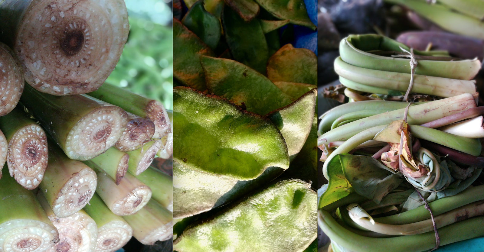 Nagaland Through My Eyes - The other taste of Nagaland - Organic Veggie ...