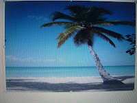 research: COCONUT SHELL LIQUID SMOKE