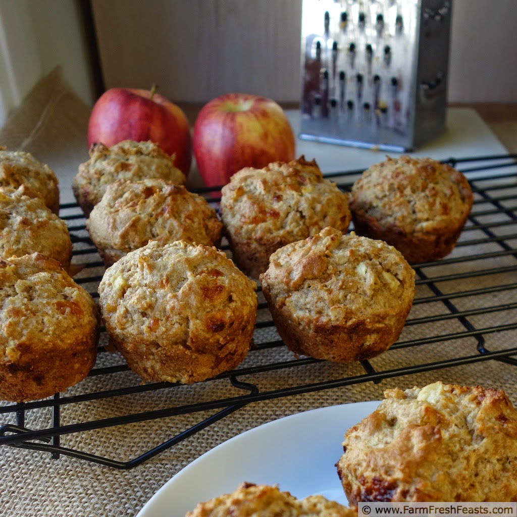 Farm Fresh Feasts: Cheddar Apple Soaked MultiGrain Muffins