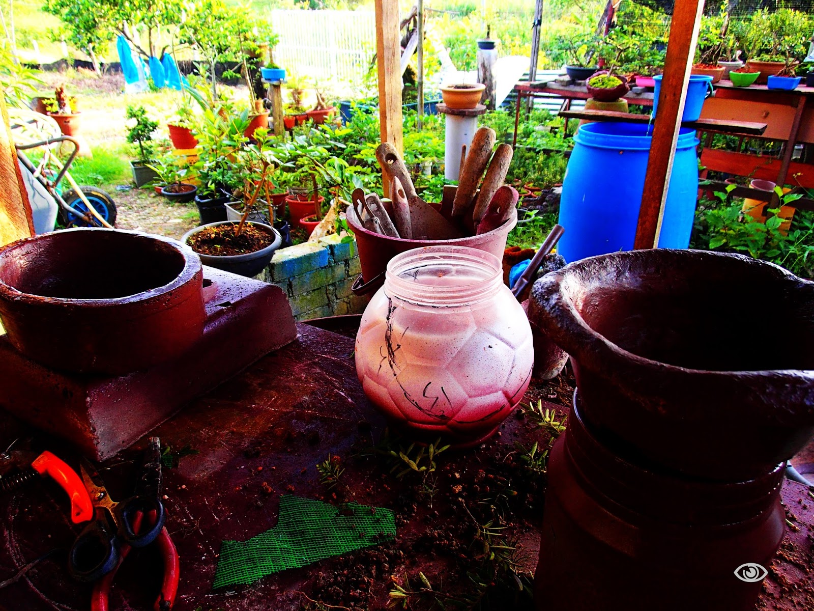 MJ-KAKI CONTENG: BENGKEL KECIK | Buat Pasu | BONSAI