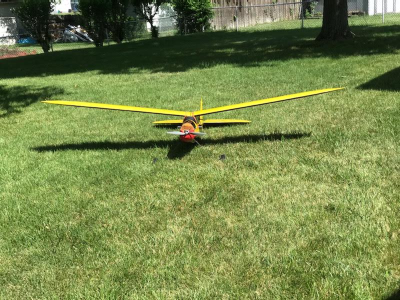 The Building Board: Shereshaw Champion