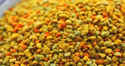 Sanatate pentru prieteni: Polenul - insusiri terapeutice