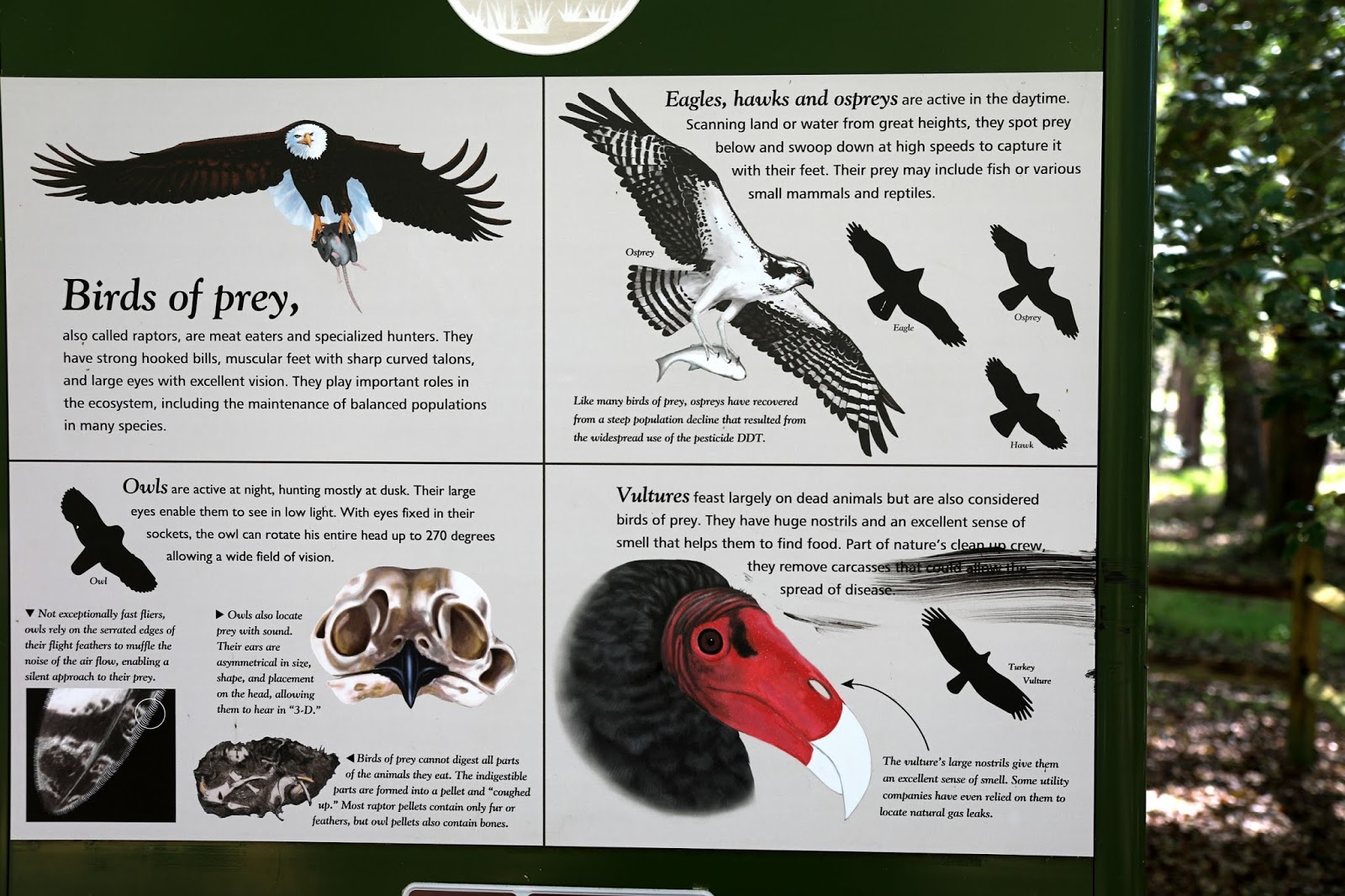 My Kampah: 4/11/19 GreenBrook Garden