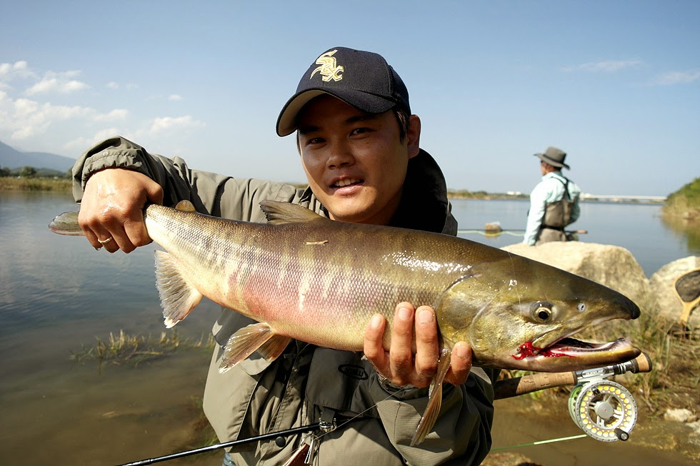 four seasons angling club: Korean salmon fishing - SpiderFly