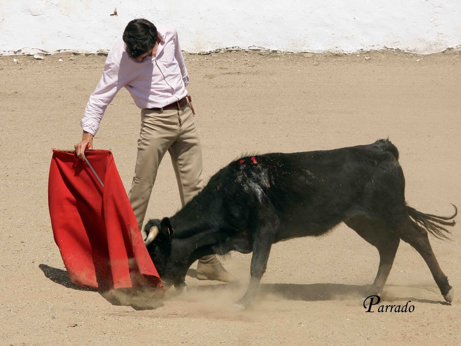 Los Caminos del Toro: Juan Ortega, de muleta en "Los Monasterios"