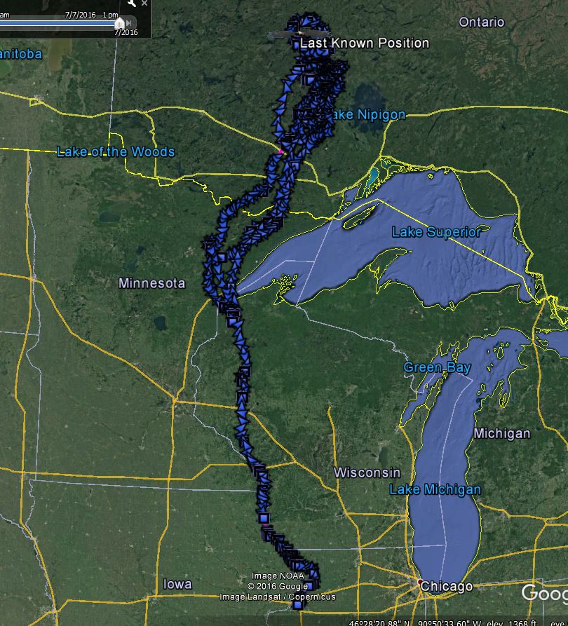 Raptor Resource Project Blog: Who is that eagle with a transmitter?