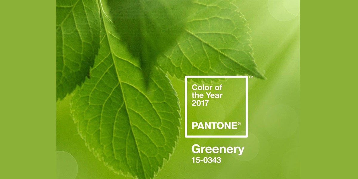 Pantone já elegeu a cor do ano 2017 - " Greenery " - Blog Pink Stuff