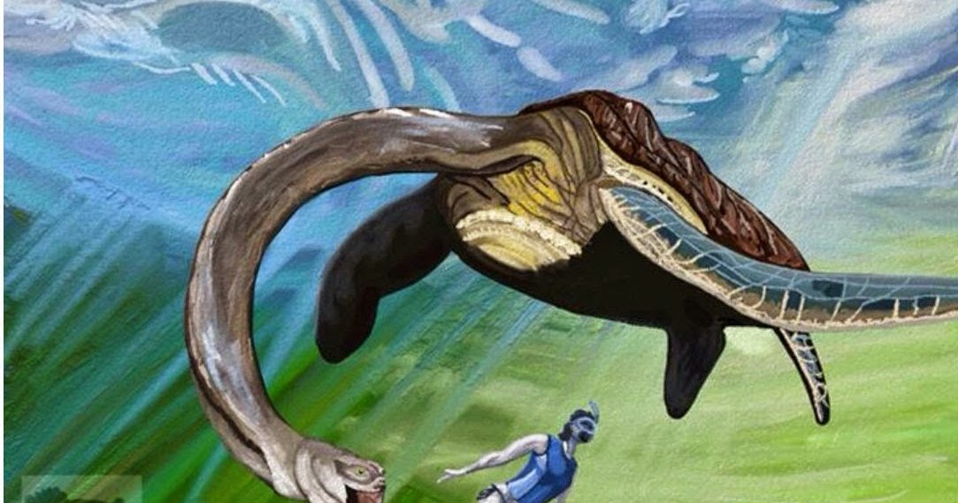 Enter: The PlesiOturtle: STUPENDEMYS, the world's largest TURTLE