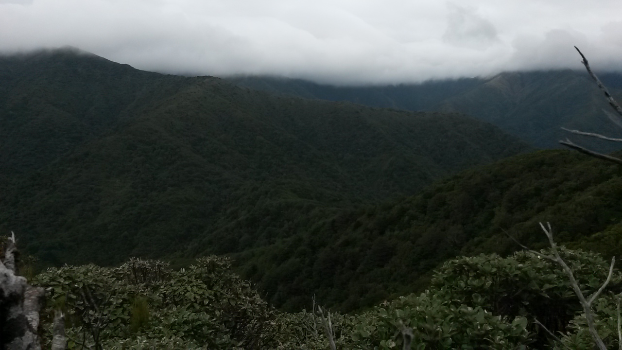 Biking and tramping trip blogs: Island Ridge