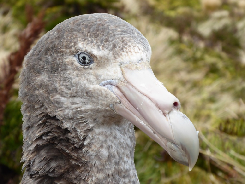 2000 Miles from Anywhere...