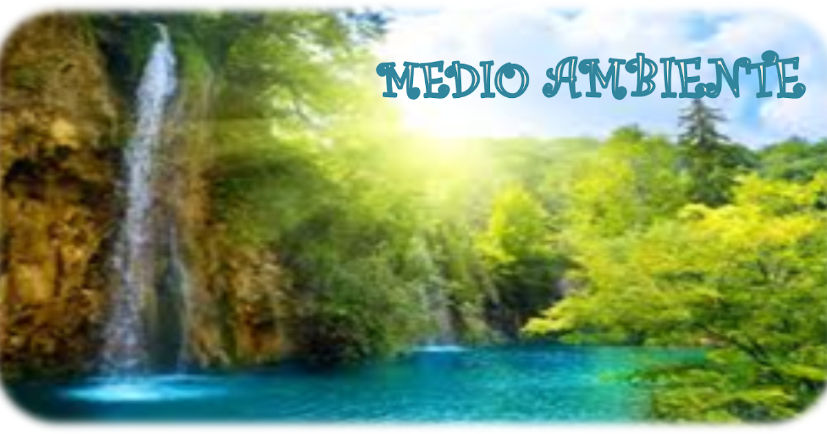 medio ambiente: MEDIO AMBIENTE