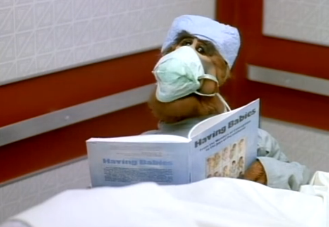 Christmas TV History: Alf's Special Christmas (1987)