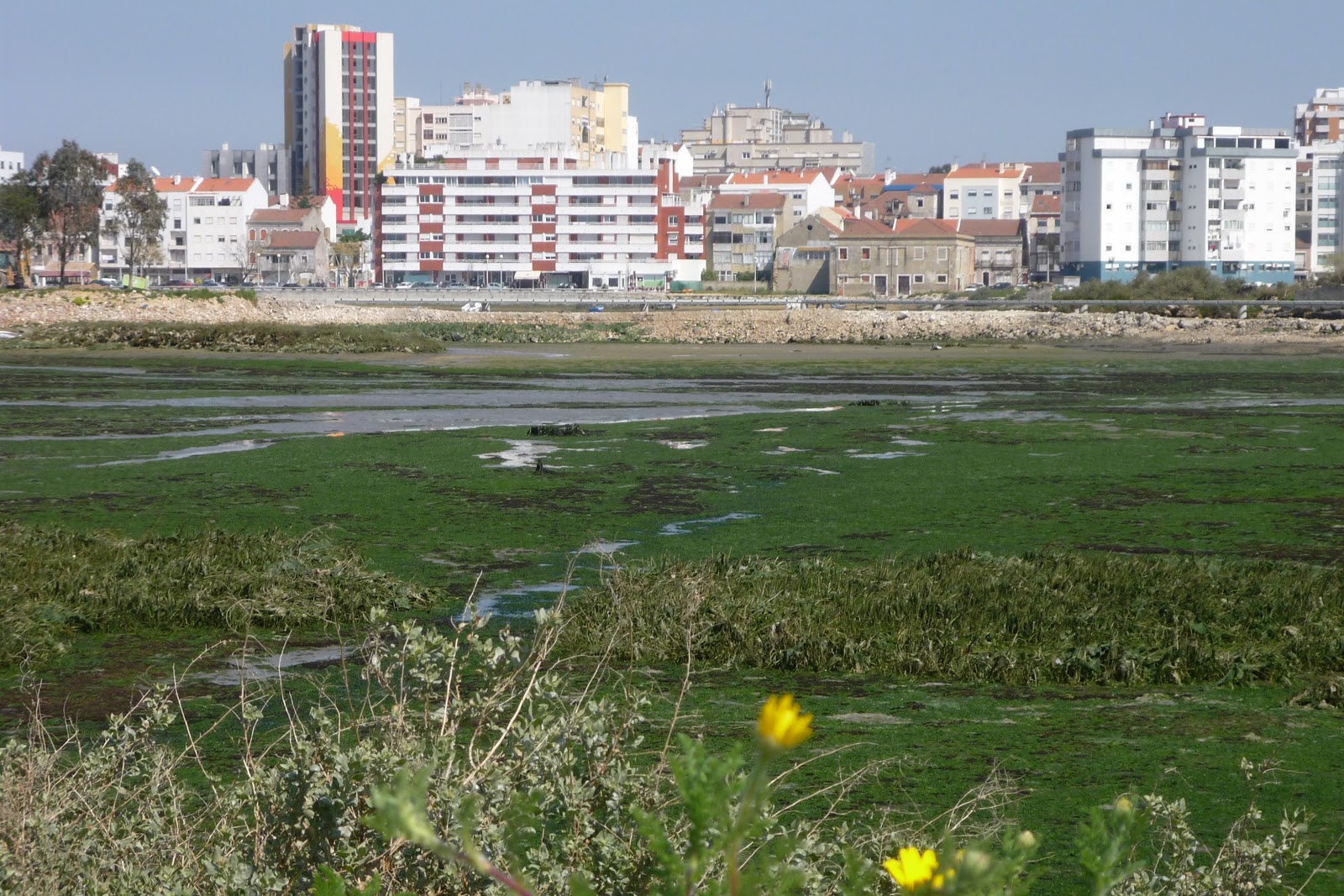O MEU PORTUGAL:SEUS LOCAIS ESPECIAIS, FESTAS E ROMARIAS: BARREIRO