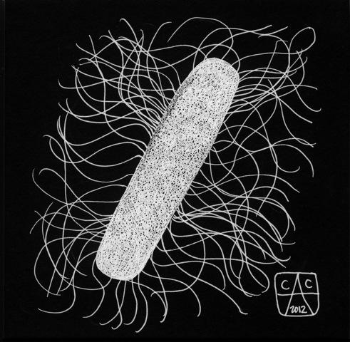 Ces And Her Dishes: Under The Microscope