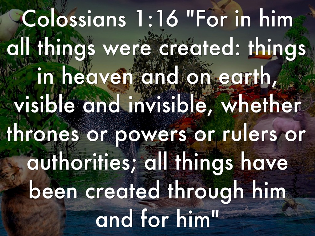 Meditations of my Heart: For in Him All Things Were Created - Part 2