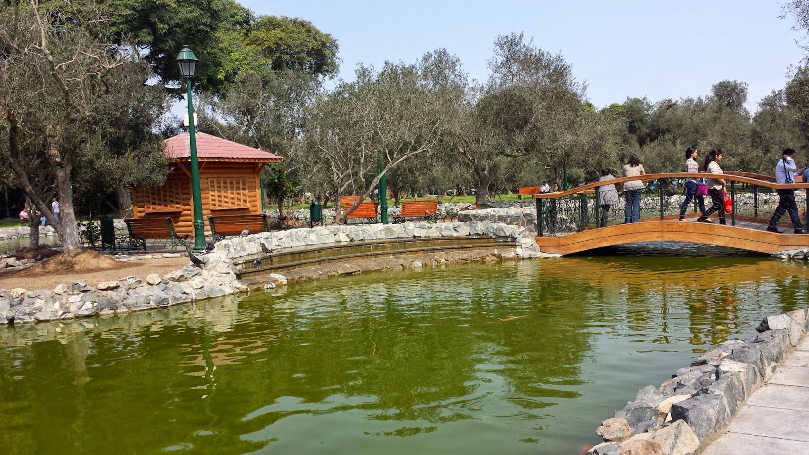 Mi amor, ¿recorremos Lima?: Bosque EL Olivar-San Isidro