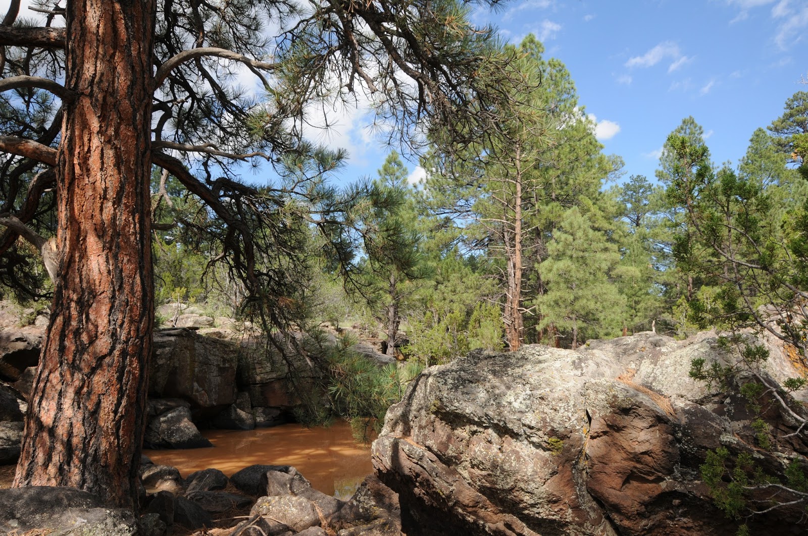 Arizona Hiking: BEALE WAGON ROAD HISTORIC TRAIL