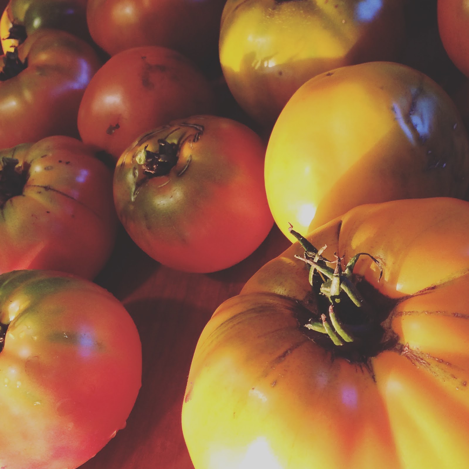 Fetching Fun: Food Series