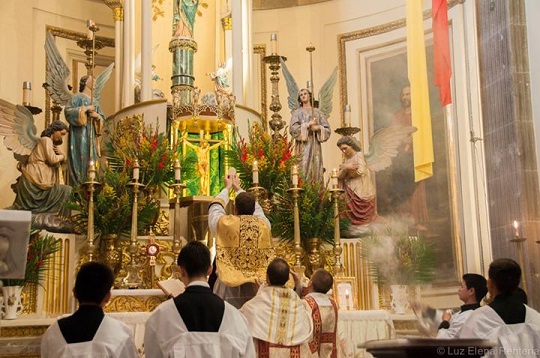 CATHOLICVS: Fotos de las Primeras Comuniones durante la solemne Santa ...