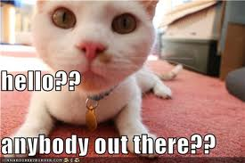 Nailed It or Failed It: anybody out there?!?!