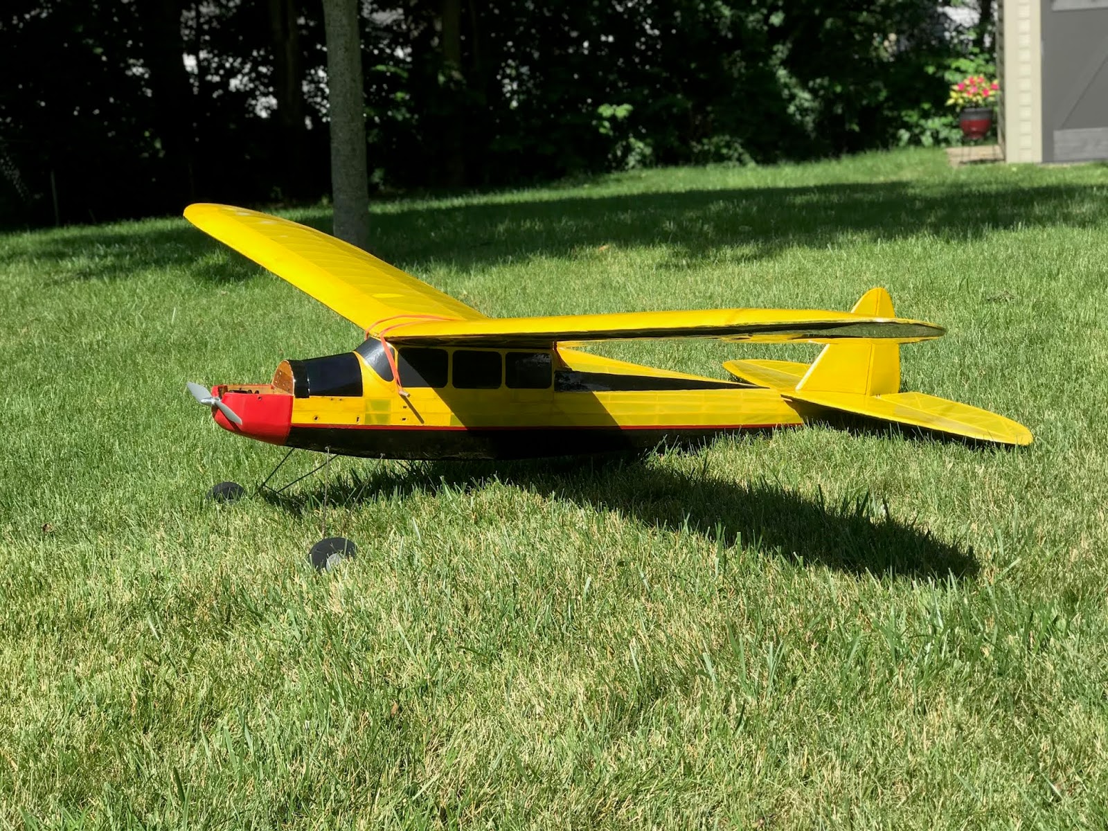 The Building Board: Shereshaw Champion