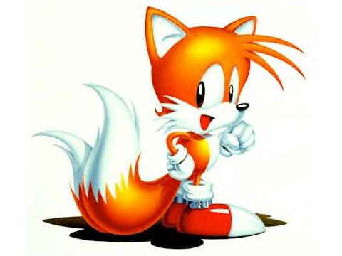 EL BLOG DE TAILS