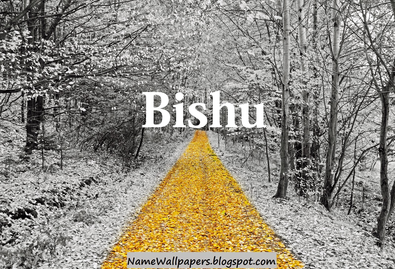 Bishu Name Wallpapers Bishu ~ Name Wallpaper Urdu Name Meaning Name ...